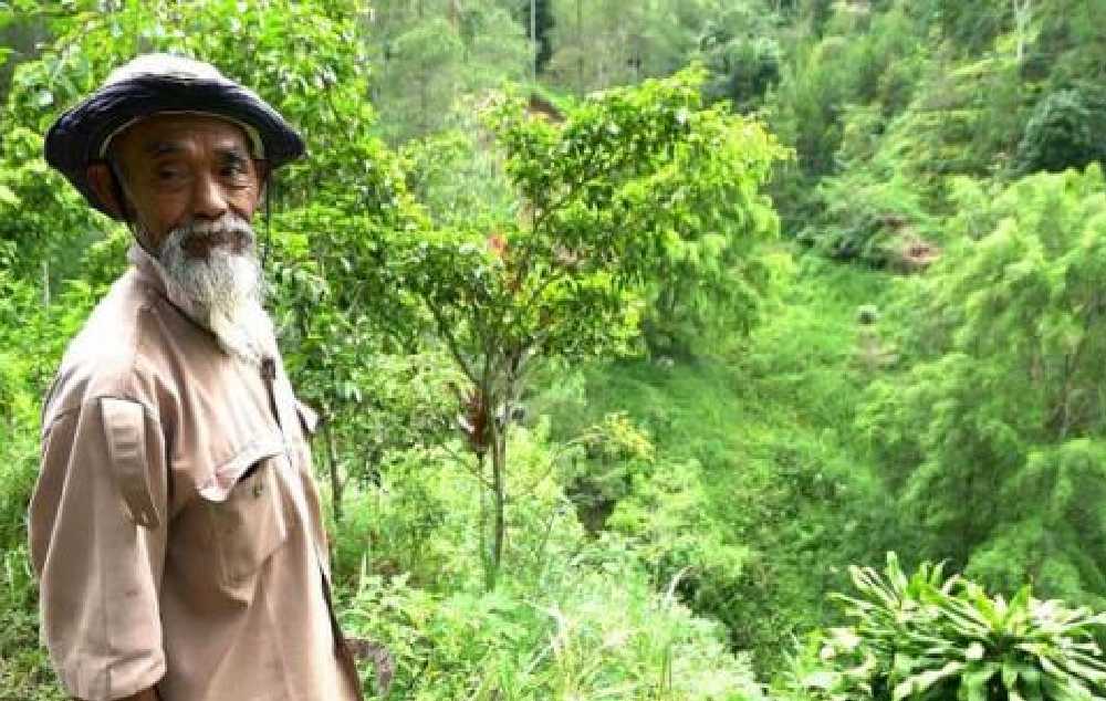 Sadiman, el hombre que salvó a su pueblo plantando un bosque con sus ...